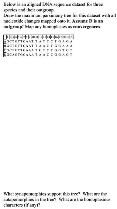 Below is an aligned DNA sequence dataset for three species and their outgroup. Draw the maximum ...