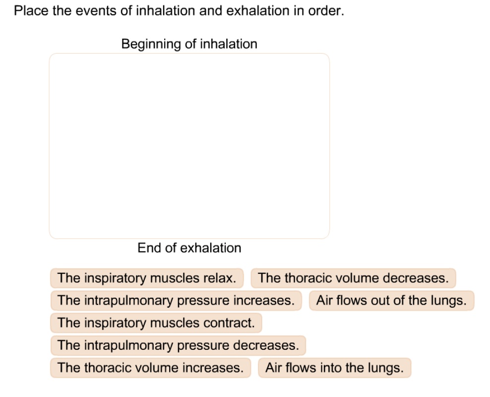SOLVED: Place the events of inhalation and exhalation in order ...