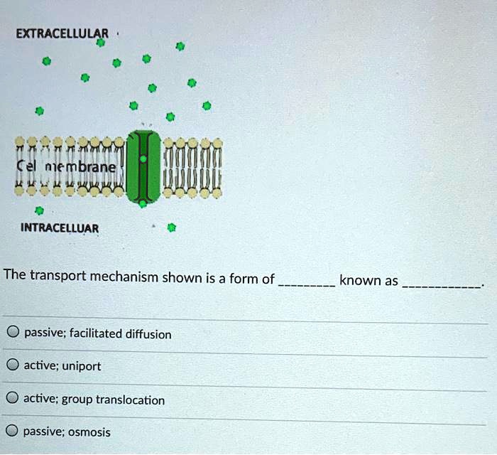 SOLVED: EXTRACELLULAR membrane INTRACELLUAR The transport mechanism shown is a form of known as ...