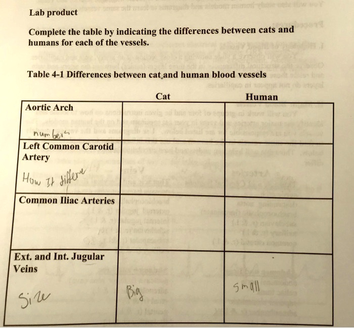 Lab product Complete the table by indicating the differences between ...