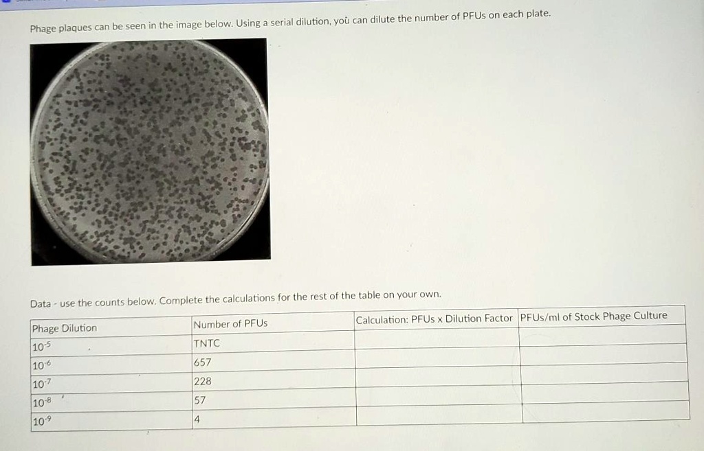 SOLVED: Using serial dilution, you can dilute the number of PFUs on ...
