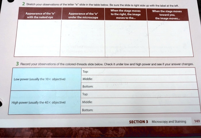 sketch your observations oi tne ietter slide inu table belova 30 sure ...