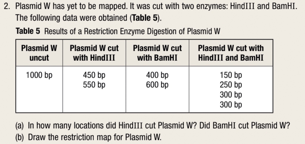 2 plasmid w has yet to be mapped it was cut with two enzymes hindiii ...