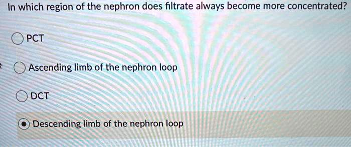 SOLVED: In which region of the nephron does filtrate always become more concentrated? A ...