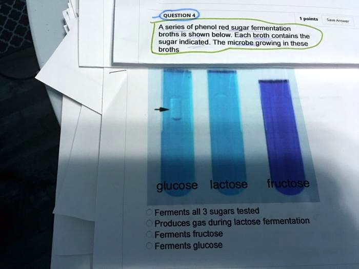 SOLVED: A series of phenol red sugar fermentation broths is shown below ...