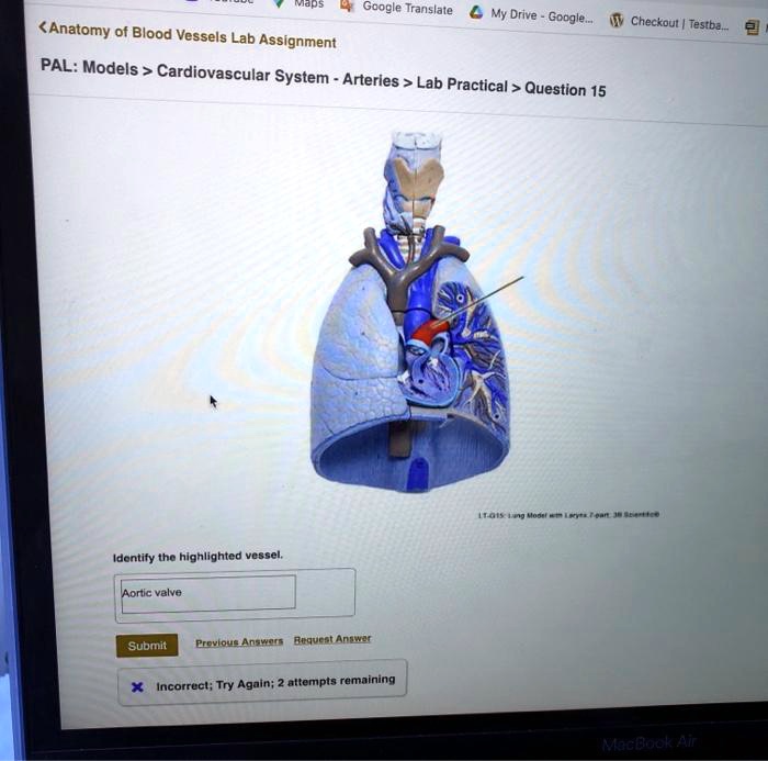 SOLVED: I want the answer, please. Google Translate My Drive-Google ...