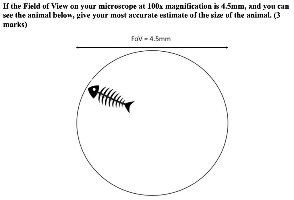 SOLVED: If the Field of View on your microscope at 100x magnification ...