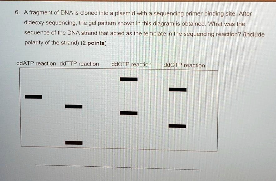 SOLVED: please help me. A fragment of DNA Is cloned Into a plasmid with ...