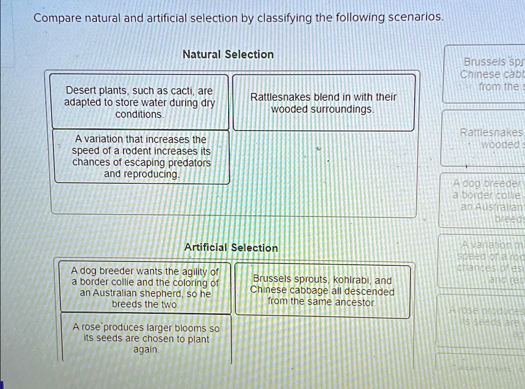 Compare natural and artificial selection by classifying the following ...