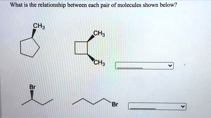 SOLVED: What is the relationship between each pair of molecules shown below? Br CH3 CH3 'CH3