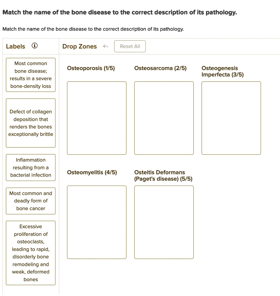Match the name of the bone disease to the correct description of its ...