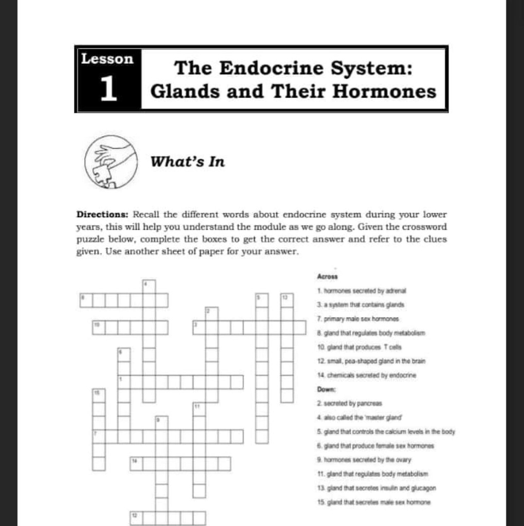 Endocrine System Hormones Crossword Puzzle