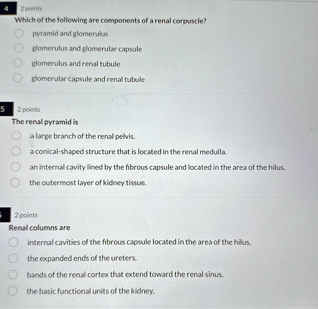 which of the following are components of a renal corpuscle pyramid and ...