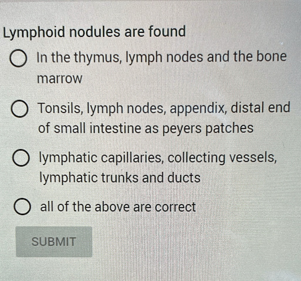 lymphoid nodules are found in the thymus lymph nodes and the bone ...