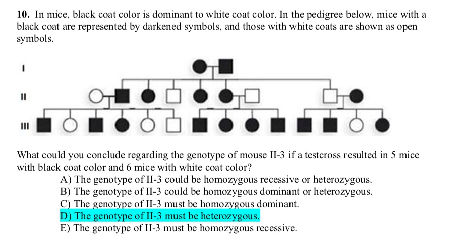 10 in mice black coat color is dominant to white coat color in the ...