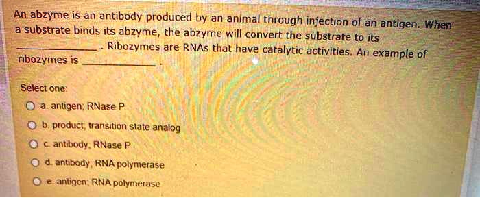 an abzyme is an antibody produced by an animal through injection of an ...