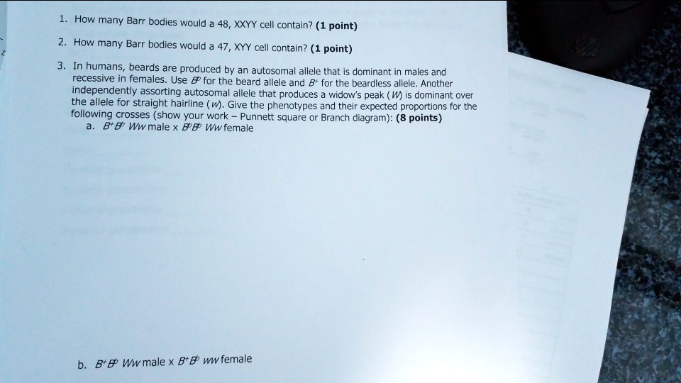 SOLVED: How many Barr bodies would an XXYY cell contain? (1 point) How ...