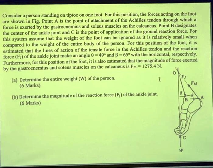 Consider a person standing on tiptoe on one foot. For this position ...