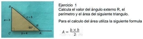 SOLVED: ayuda alguien que entiende geometría me puede ayudar Ejercicio ...