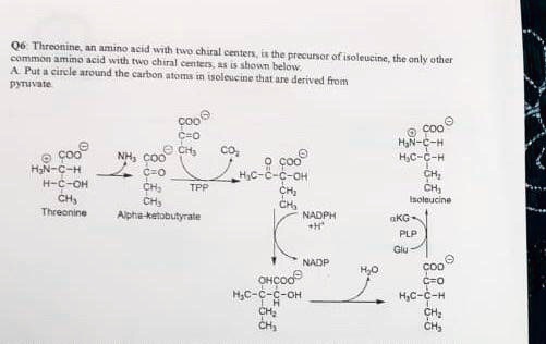 Q6. Threonine, an amino acid with two chiral centers, is the...