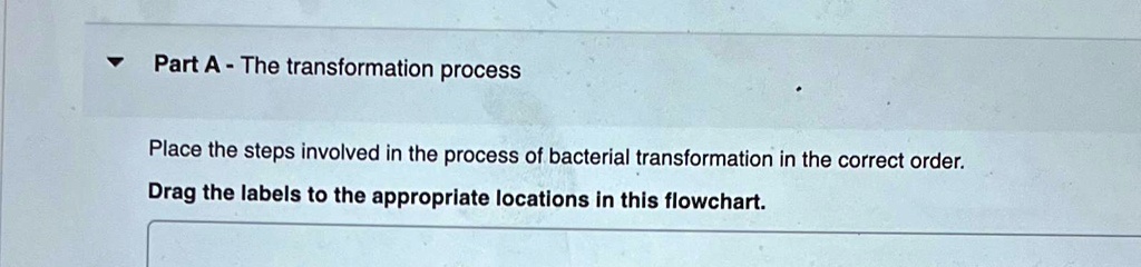 Part A - The transformation process Place the steps involved in the process of bacterial ...