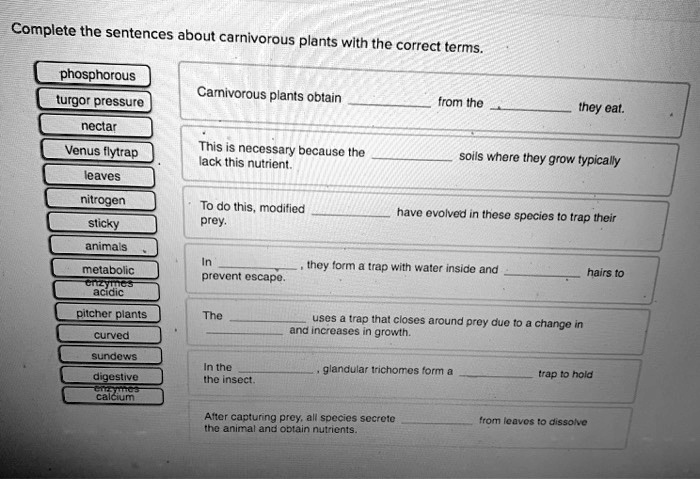 complete the sentences about carnivorous plants with the correct terms ...