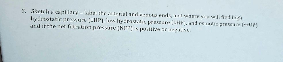 3 sketch a capillary label the arterial and venous ends and where you ...