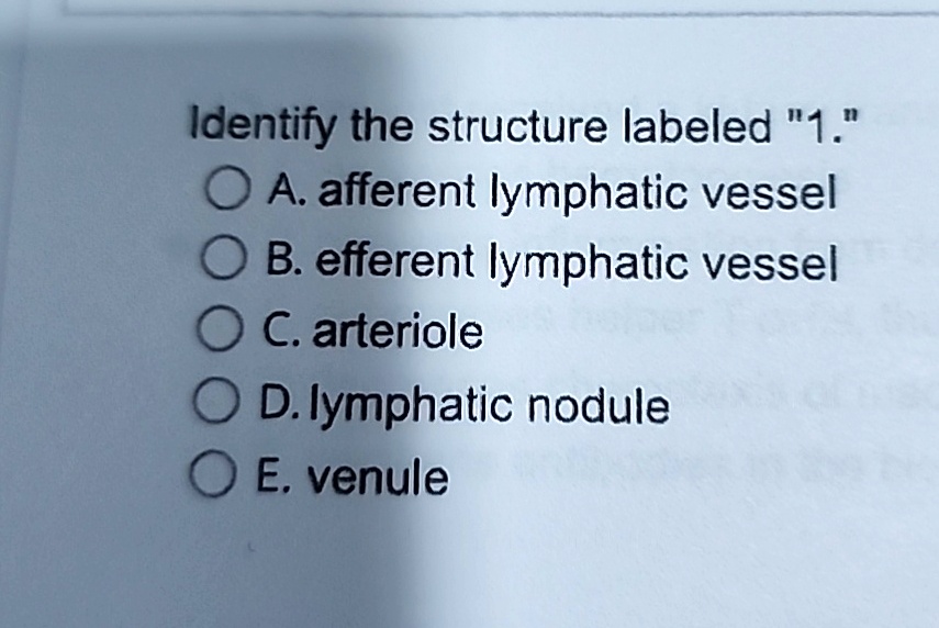 Identify the structure labeled "1." A. afferent lymphatic vessel B ...