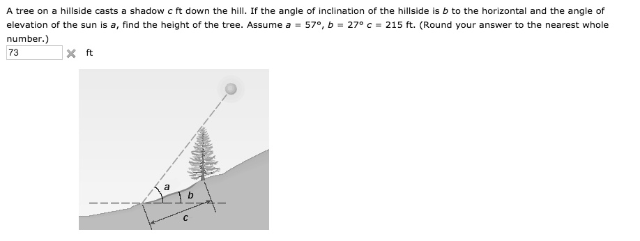 tree on hillside casts shadow ft down the hill: If the angle of ...
