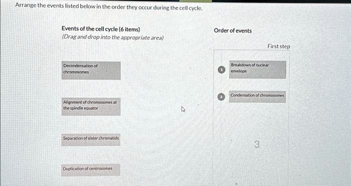 SOLVED: Order of events: First step: Duplication of centrosomes ...