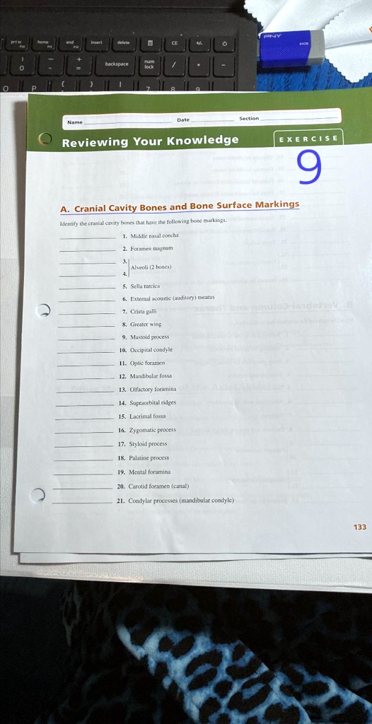 Reviewing Your Knowledge EXERCISE 9 A. Cranial Cavity Bones and Bone ...