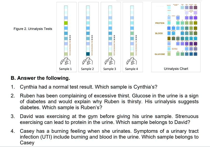 prctein figure 2 urinalysis tests blood gluccsf sample sample 2 sample ...