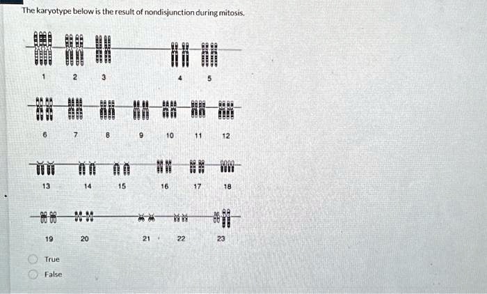 The karyotype below is the result of nondisjunction during mitosis.