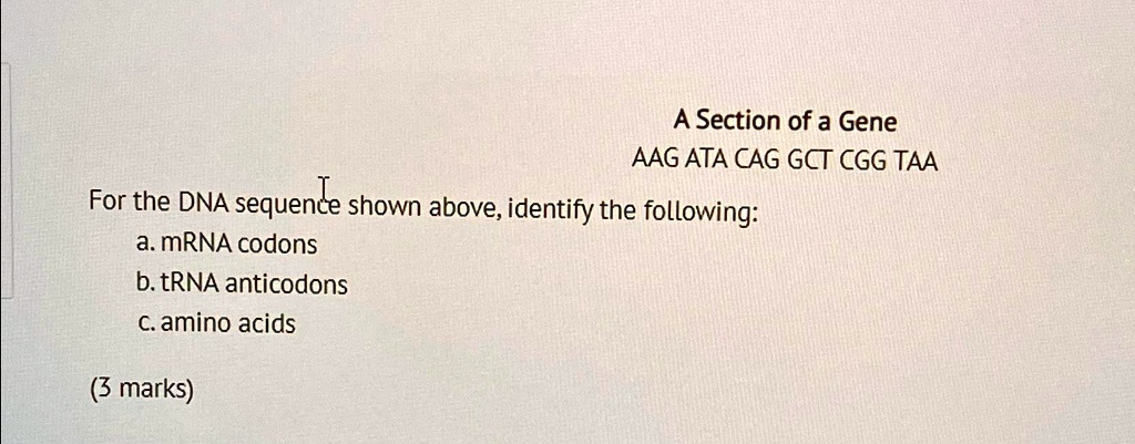 SOLVED: A Section of a Gene AAG ATA CAG GCTCGG TAA For the DNA sequence ...