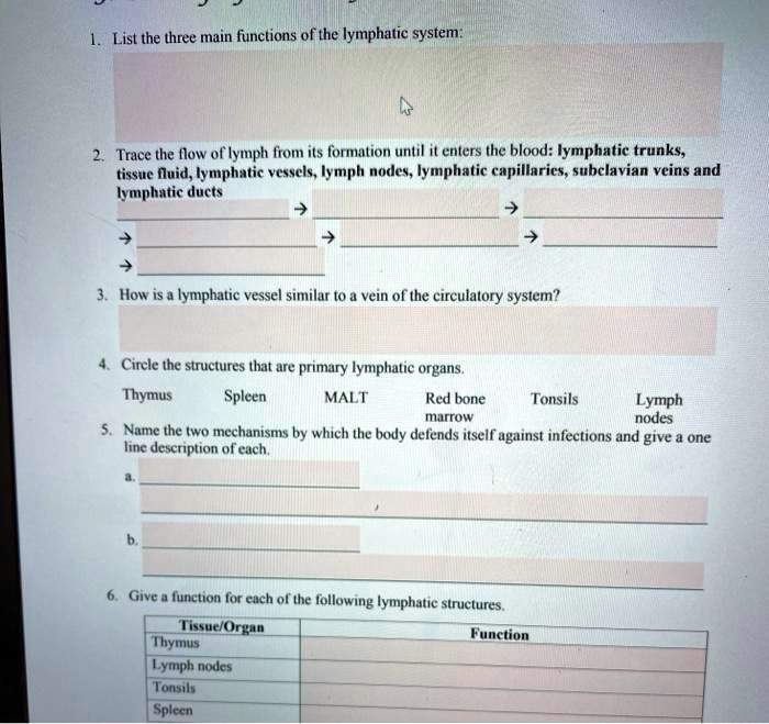 1list the three main functions of the lymphatic system 2trace the flow ...