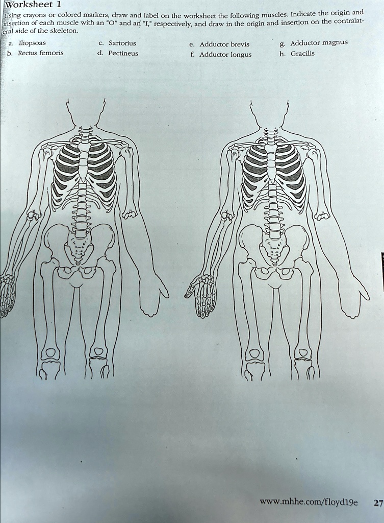 worksheet 1 using crayons or colored markers draw and label on the ...