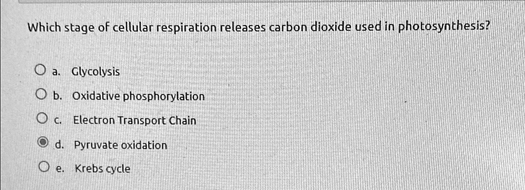 Which stage of cellular respiration releases carbon dioxide used in ...