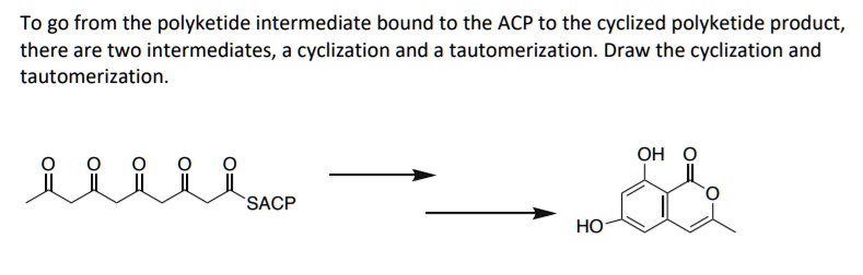To go from the polyketide intermediate bound to the ACP to the cyclized ...