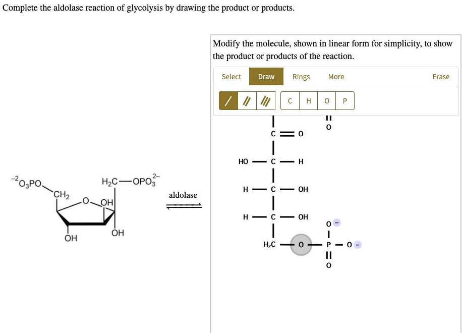 SOLVED: Complete the aldolase reaction of glycolysis by drawing the ...