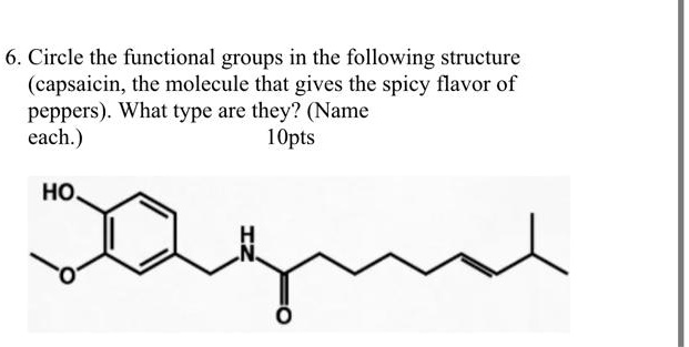 VIDEO solution: 6.Circle the functional groups in the following ...