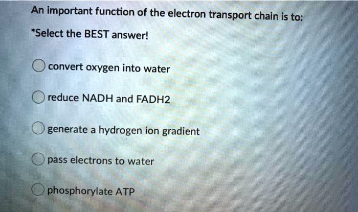SOLVED: An important function of the electron transport chain is to ... SOLVED: An important function of the electron transport chain is to ...