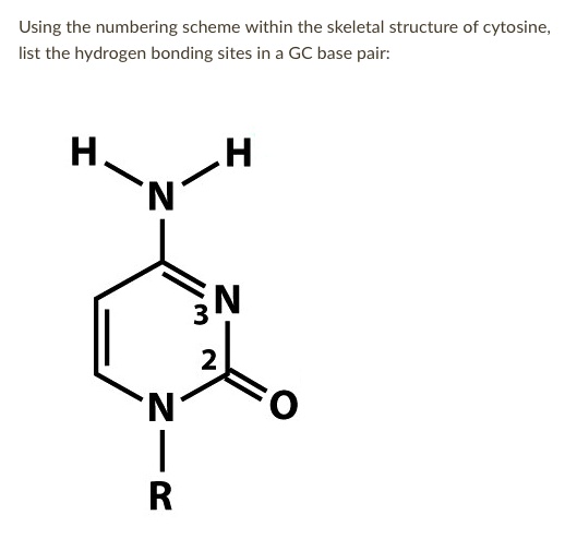 SOLVED: Using the numbering scheme within the skeletal structure of ...