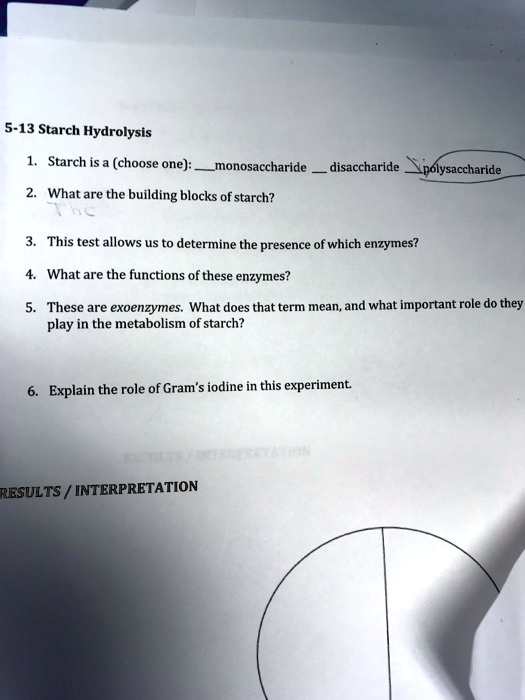 SOLVED: 5-13 Starch Hydrolysis Starch is a (choose onej: monoss ...