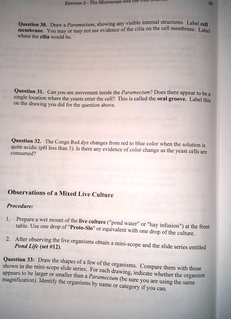 SOLVED: Exercise 2: The Microscope and Observations of a Mixed Live ...