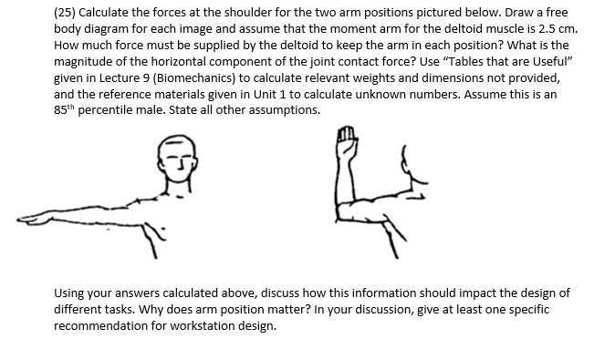 25 calculate the forces at the shoulder for the two arm positions ...