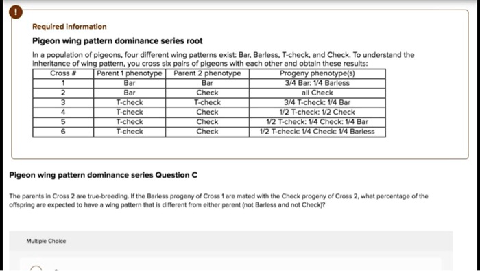 required information pigeon wing pattern dominance series root population of pigeons four ...
