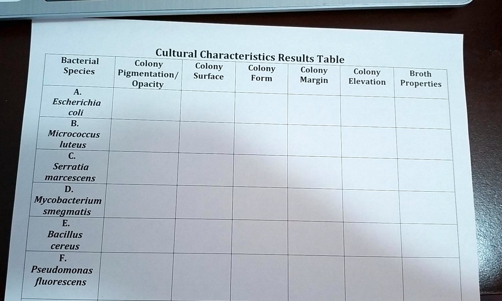 bacterial species cultural characteristics results table colony colony ...