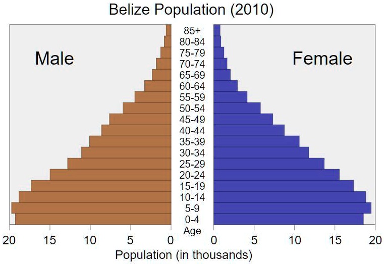 SOLVED: '1.) What statement best explains the type of population growth ...