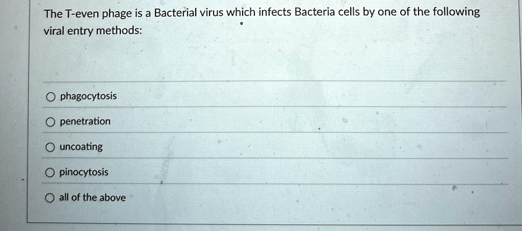 the t even phage is a bacterial virus which infects bacteria cells by ...