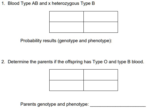 SOLVED: Blood Type AB and heterozygous Type B Probability results ...